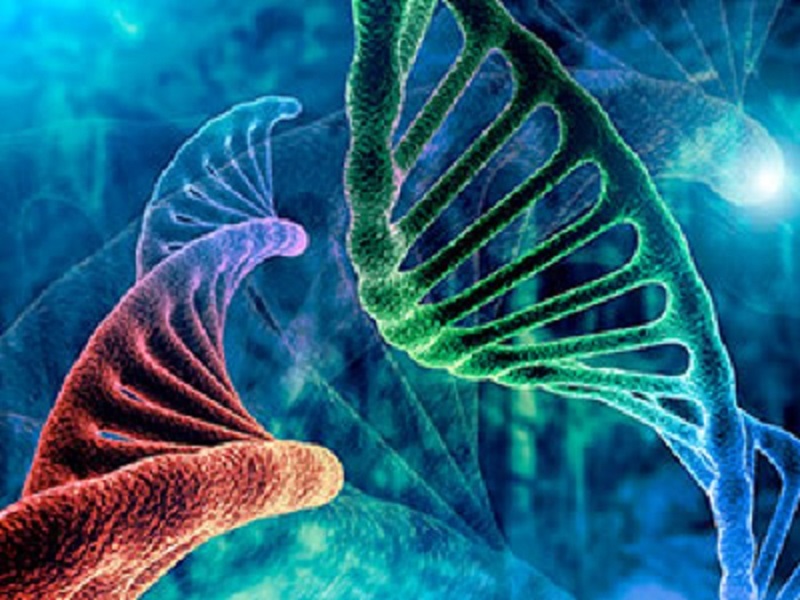 Webinar: Naturally Occurring Sensitive Nucleic Acids, Applications and ... Webinar: Naturally Occurring Sensitive Nucleic Acids, Applications and ...