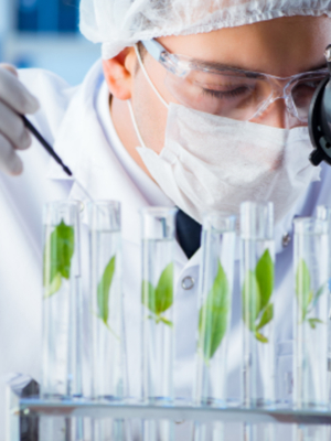 9 Reasons to Consider a Career in Biotechnology - PharmiWeb.com