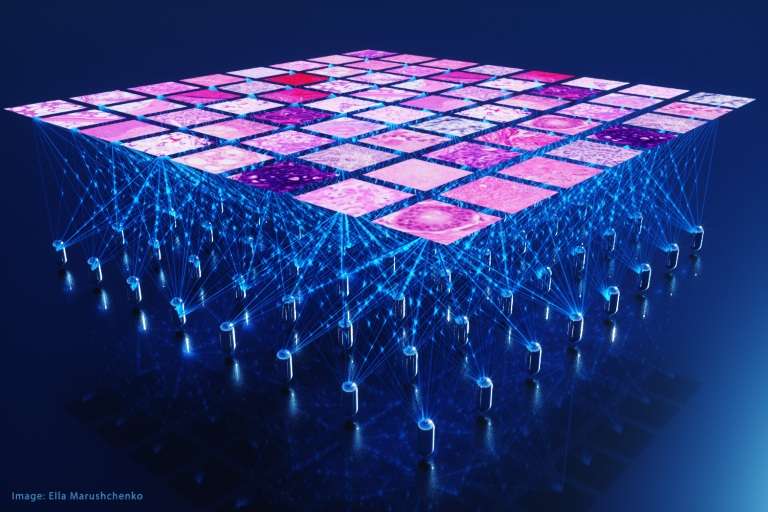 Proscia Launches Concentriq Embeddings and Developer Toolkit to Unleash ...