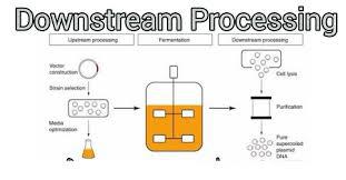 Biopharmaceutical Breakthroughs to Boost Downstream Processing Market ...