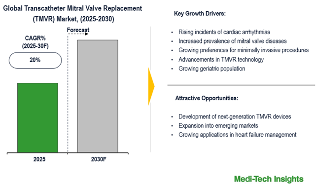 Global Transcatheter Mitral Valve Replacement (TMVR) Market: Growth ...