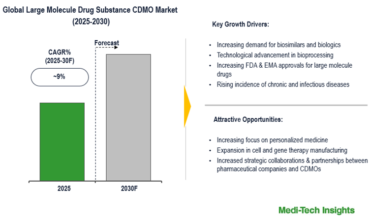 Global Large Molecule Drug Substance CDMO Market to see 9% CAGR with research push by 2030 ...