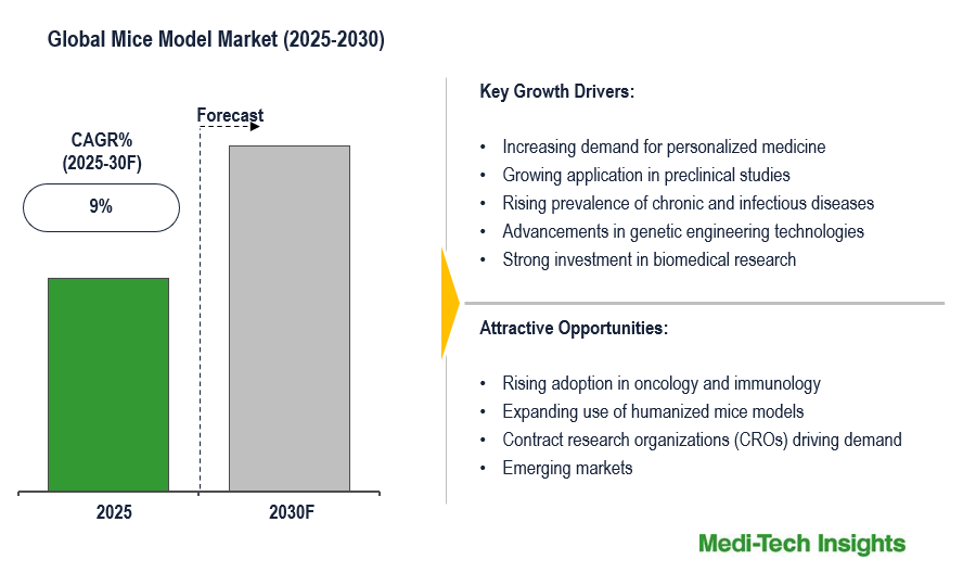 Global Mice Model Market to Grow at 9% CAGR, Driven by Preclinical ...