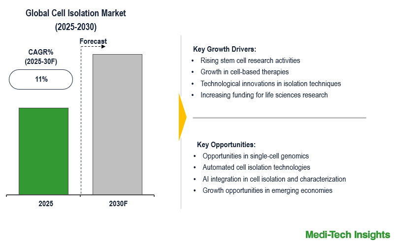 Global Cell Isolation Market forecasted to post 11% CAGR amid ...