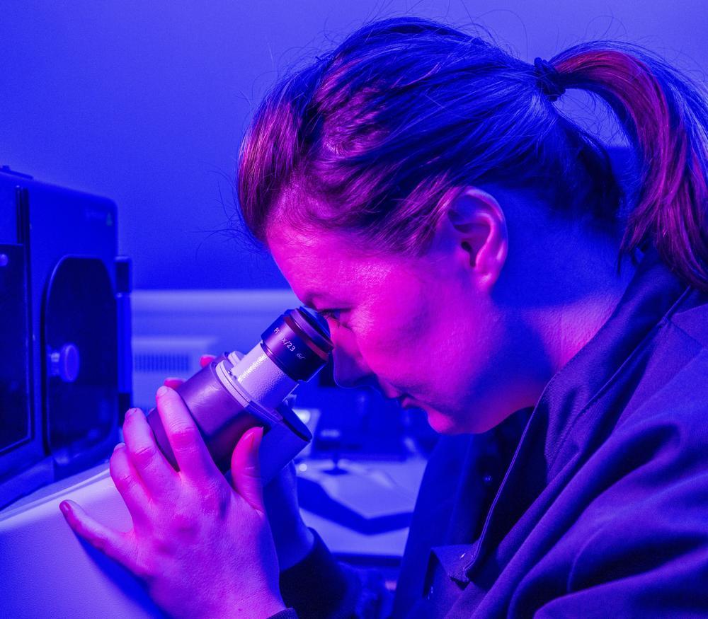 £15.9m Investment to Power Next-Generation Human Disease Modelling ...