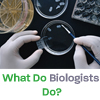What Do Biologists Do? - PharmiWeb.com